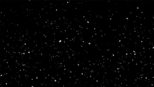 digital snow