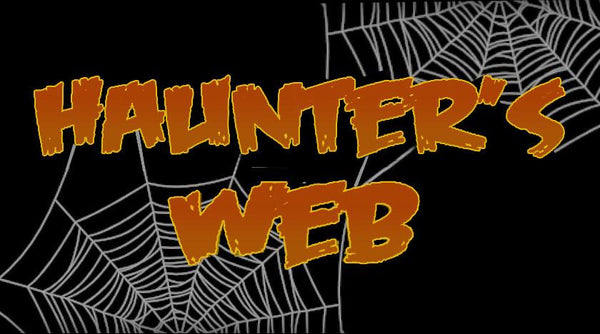 AtmosFX 3DFX Form Review – AtmosFX Digital Decorations