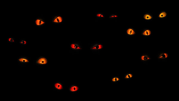 Great Ways to Use ‘Eerie Eyes’ – AtmosFX Digital Decorations