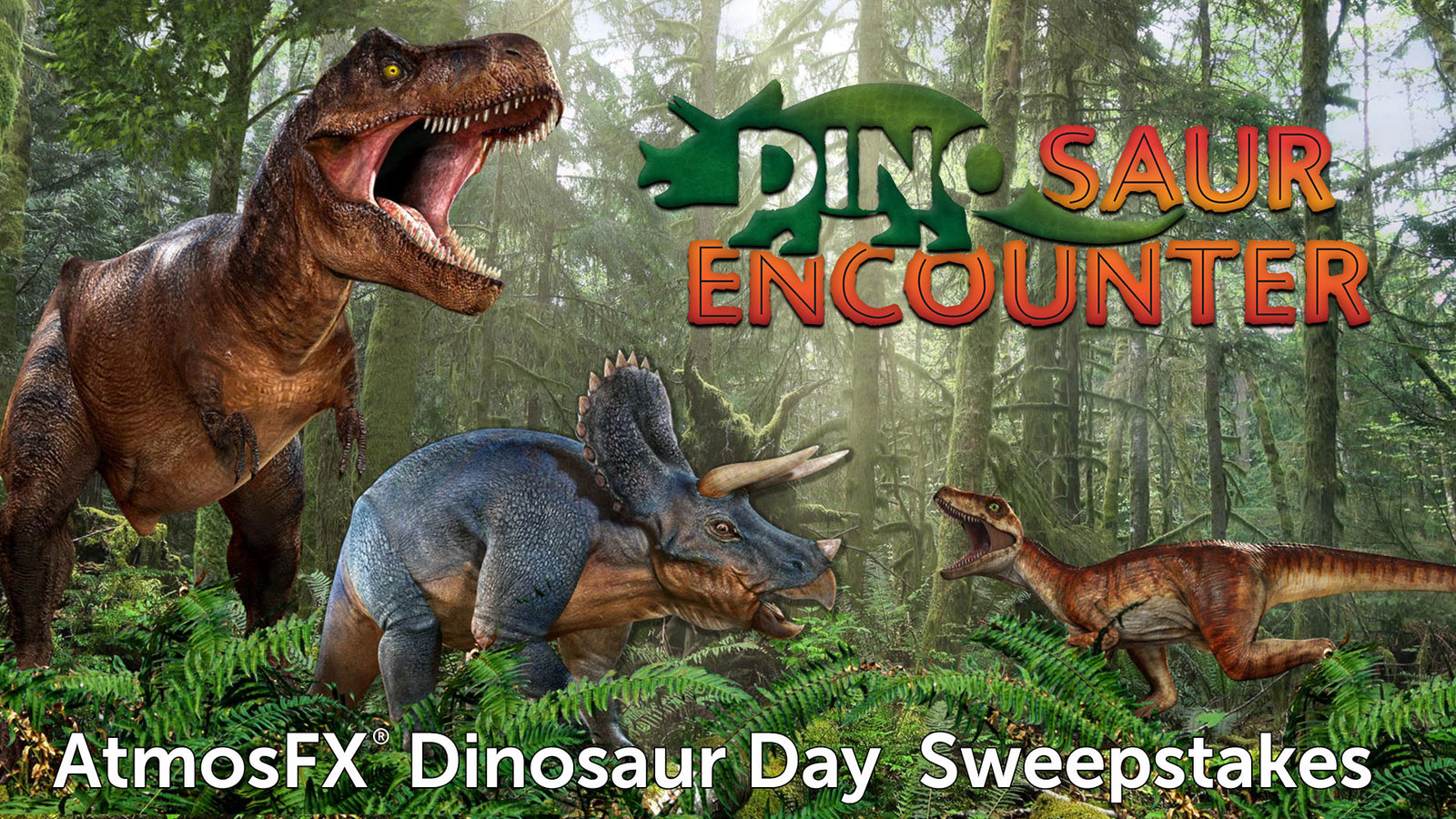 Great Zombie Apocalypse Display with Only 3 Projectors – AtmosFX ...