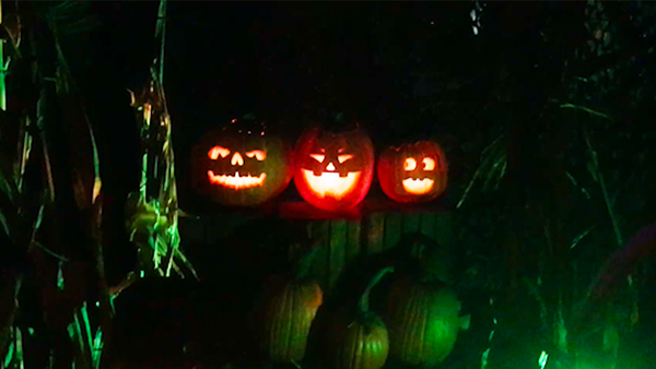 AtmosFAN Builds Cemetery in Sister’s ’Hood – AtmosFX Digital Decorations