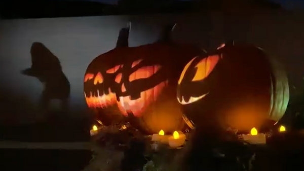 Bright Lights and Color from Las Vegas AtmosFAN – AtmosFX Digital ...