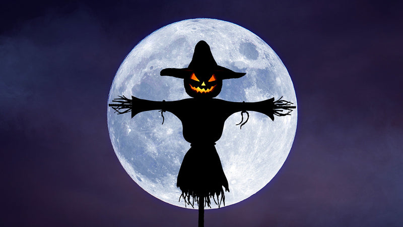 scarecrow sparklebox