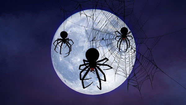 Spider Surprise - AtmosFX Digital Decorations